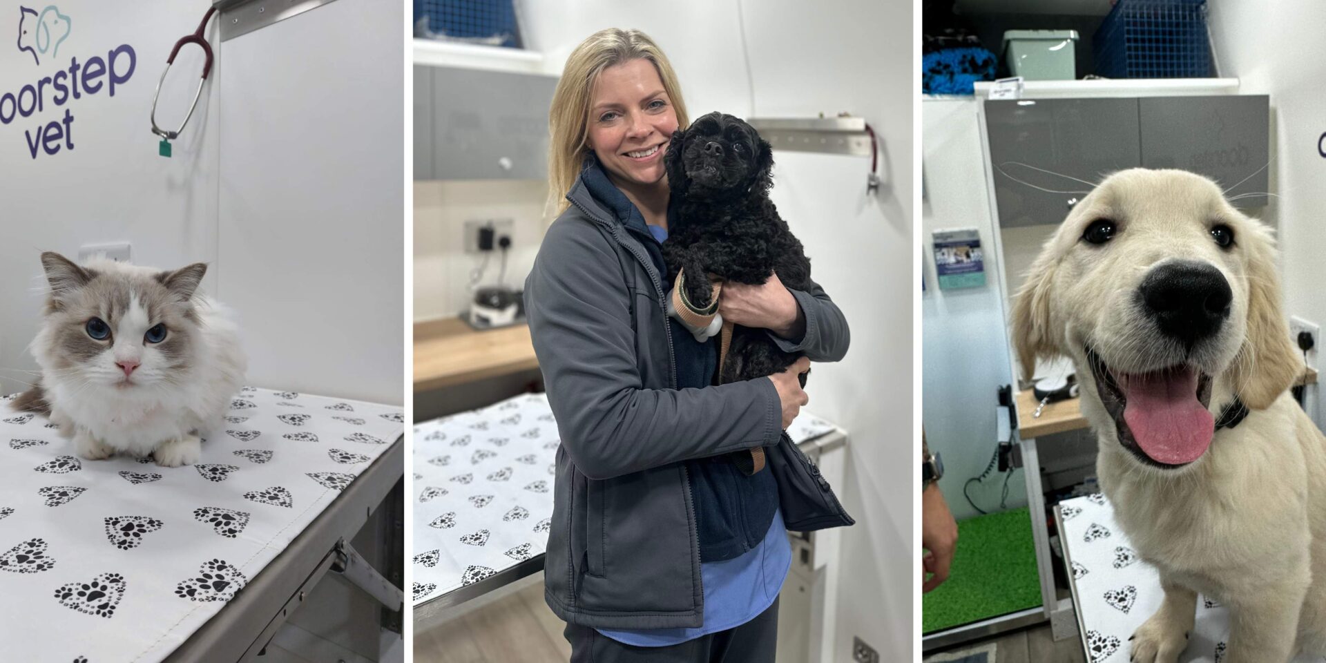 Introducing Doorstep Vet's new affordable pet health plan | High Life North | Look Good, Feel ...