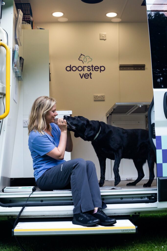 Caring for older dogs: expert advice from Doorstep Vet | High Life North | Look Good, Feel Good ...