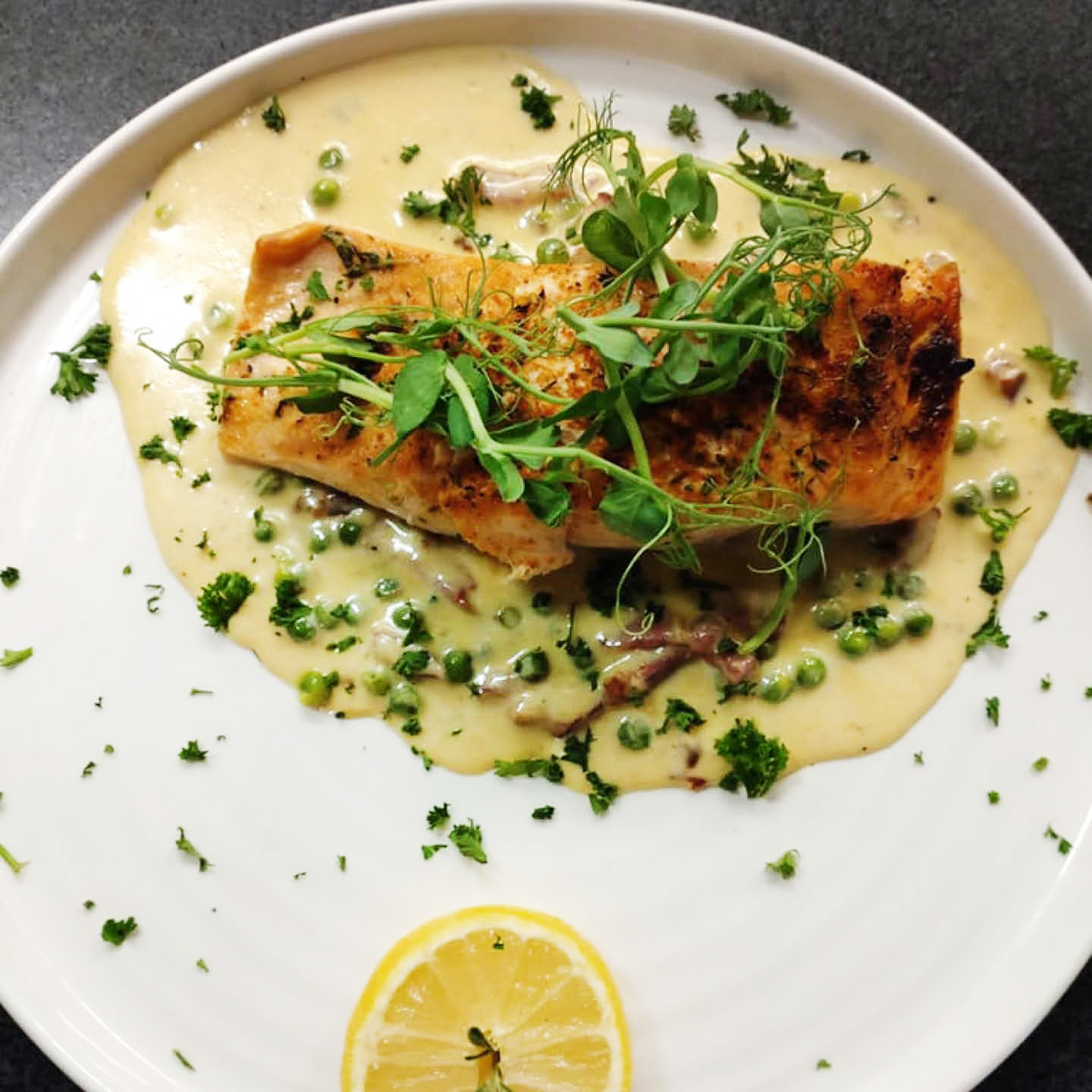 Fellini's | Little Black Book | High Life North | Look Good, Feel Good ...