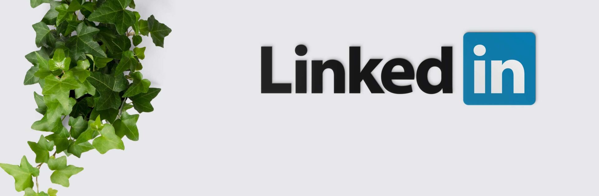 Ten ways to LinkedIn like a pro | High Life North | Look Good, Feel ...