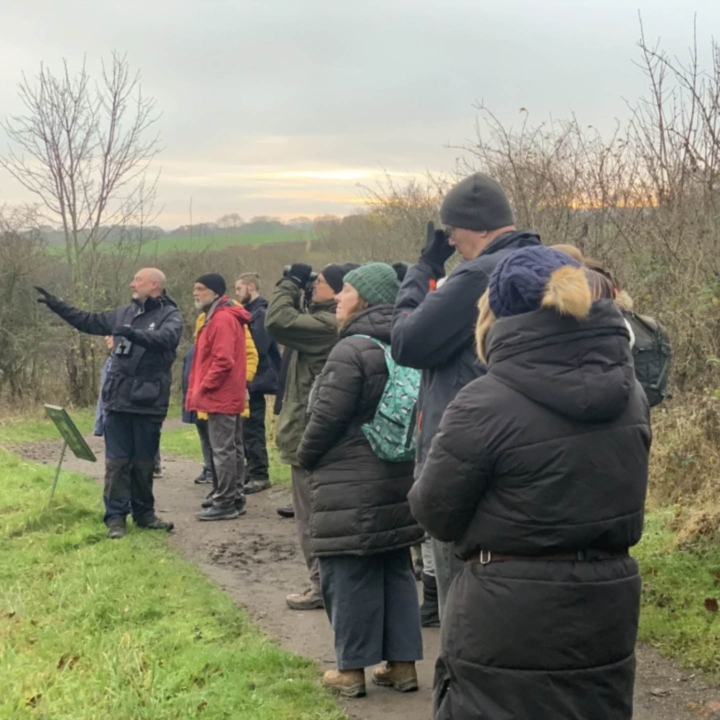 Wild Walk - Washington Wetland Centre | What's On | High Life North ...