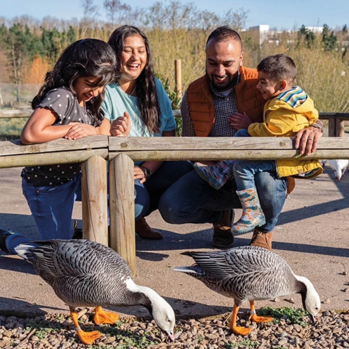Keeper Walk and Feed - Washington Wetland Centre | What's On | High Life North | Look Good, Feel ...