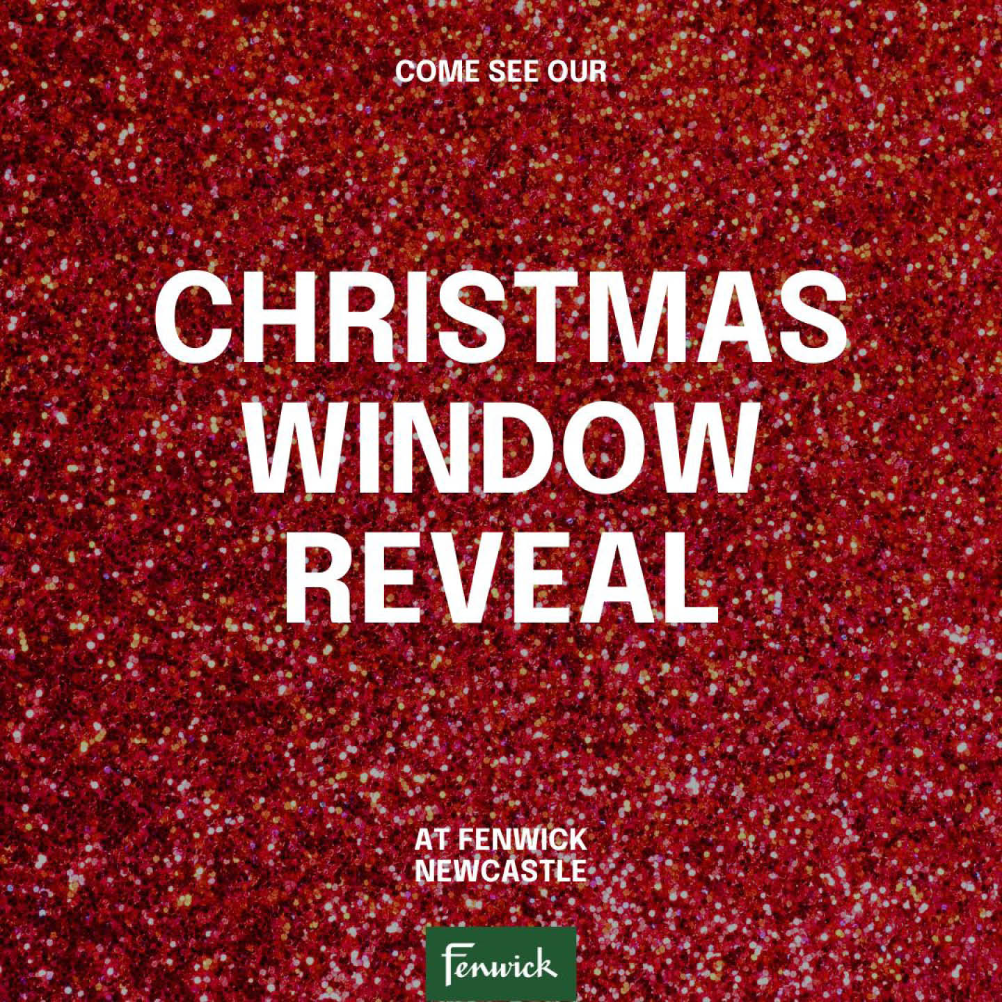Fenwick Christmas Window Reveal 2024 - Fenwick Newcastle | What's On ...