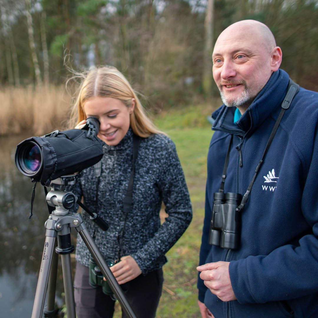 Wild Walk: Wild Bird Feeding Stations - Washington Wetland Centre ...