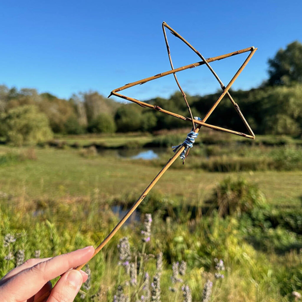 Willow Wands and Stars - Washington Wetland Centre | What's On | High ...