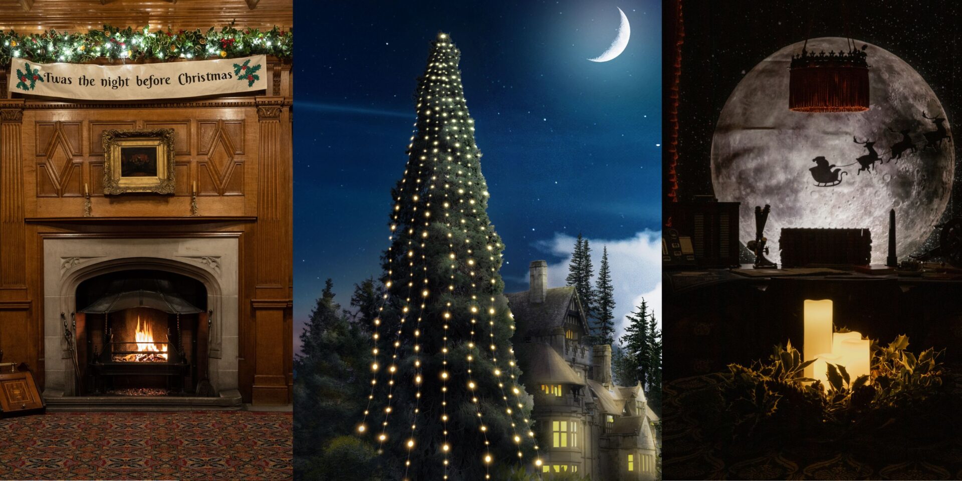 Be the first to see the UK’s tallest living Christmas tree at Cragside ...