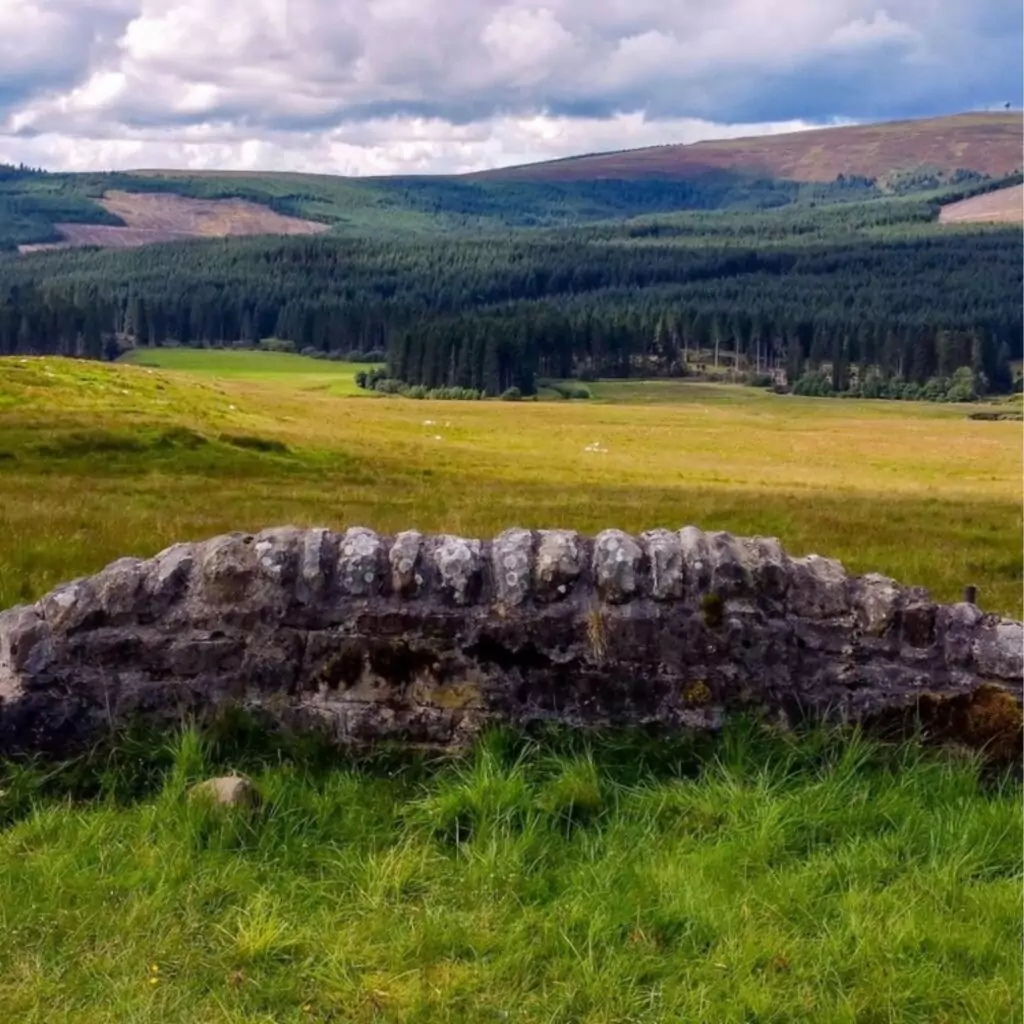 Your ultimate Kielder guide: stargazing stays, scenic forest walks and ...