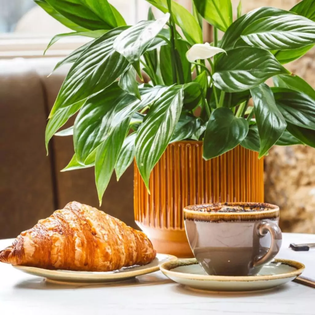 Barista-approved: We've researched the 9 best places for coffee in ...