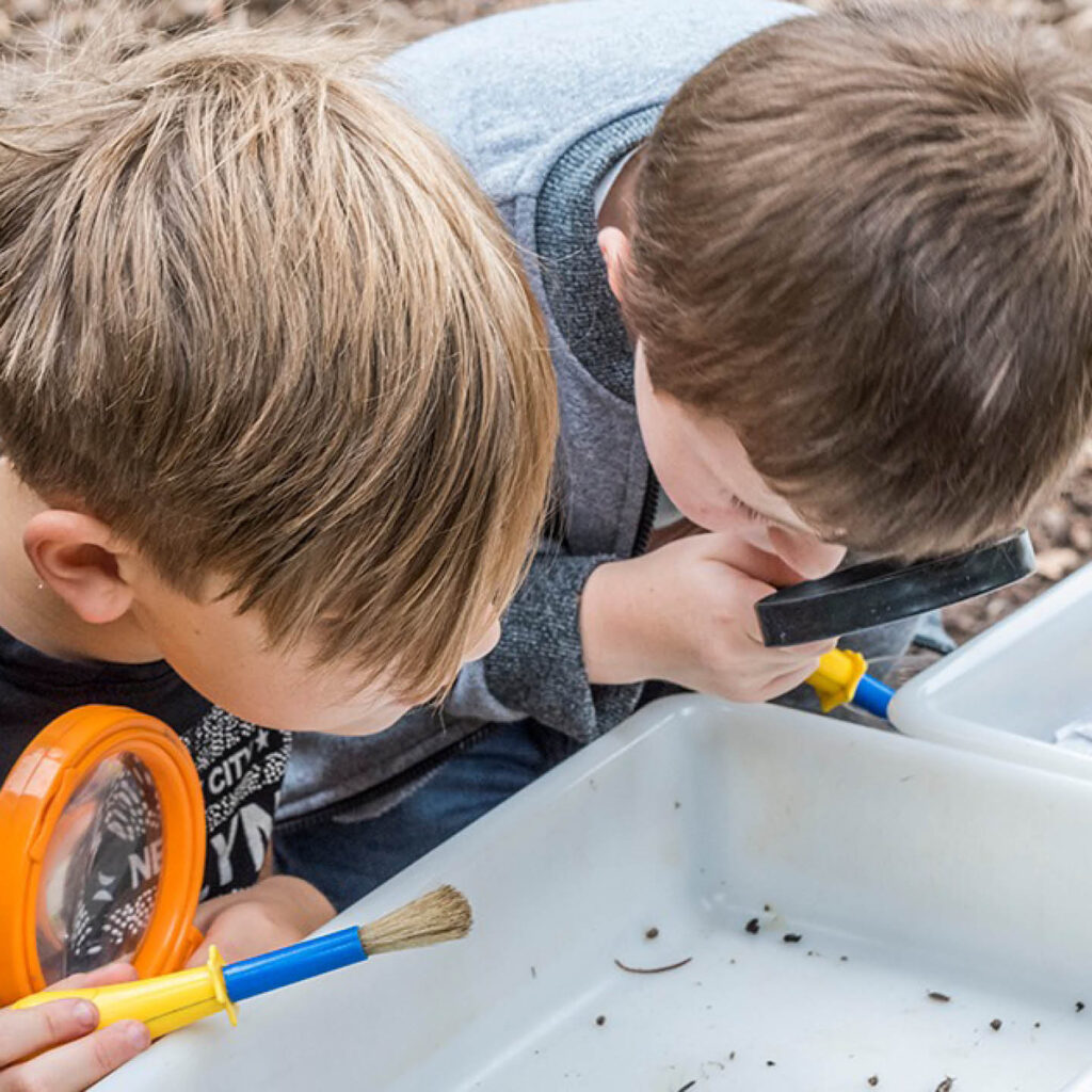 Minibeast Hunting - Washington Wetland Centre | What's On | High Life ...