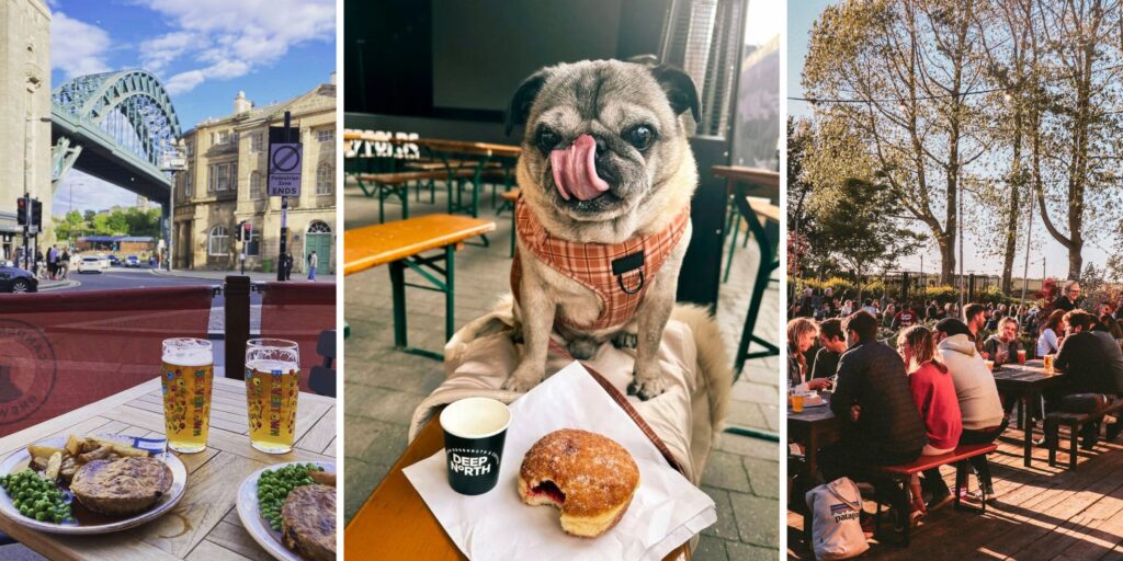 The best dog-friendly pubs, cafés and restaurants in the North East ...
