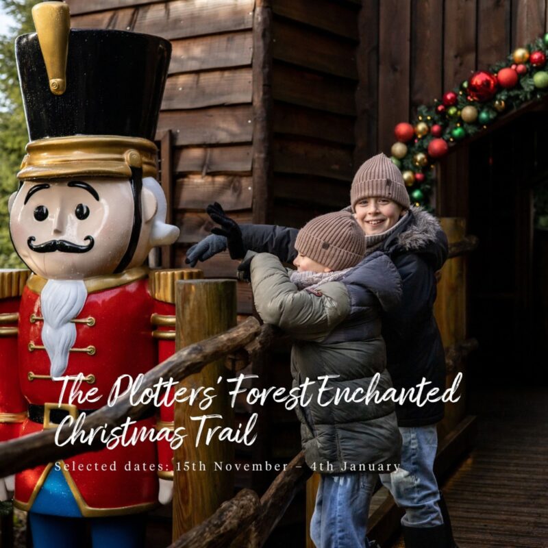 Raby Castle opens for a new Christmas experience | High Life North ...